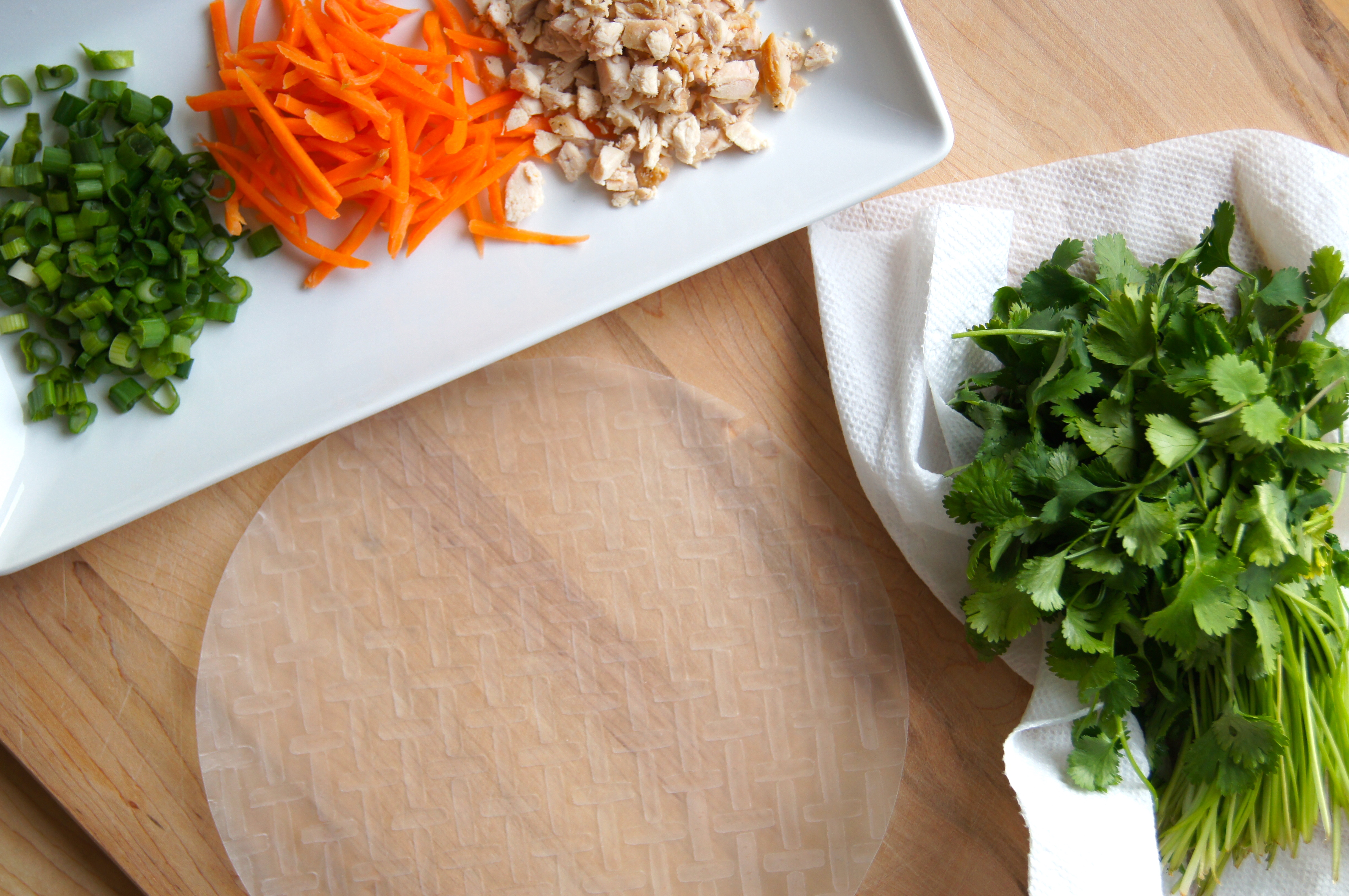 Asian Chicken Salad Spring Rolls