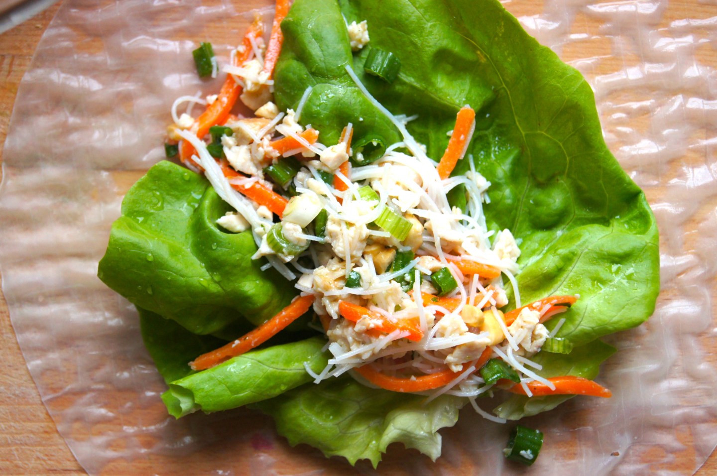 Asian Chicken Salad Spring Rolls