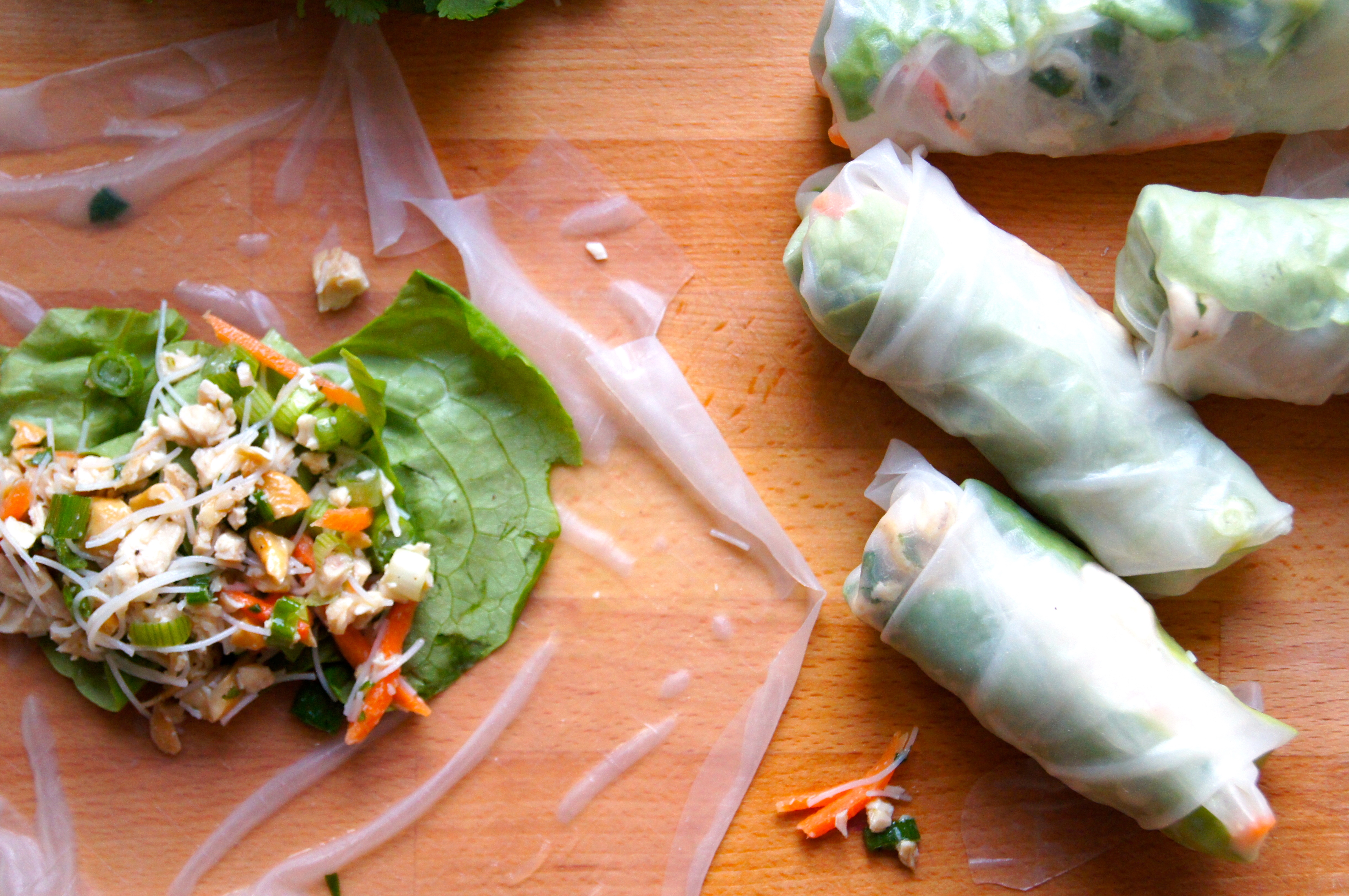 Asian Chicken Salad Spring Rolls