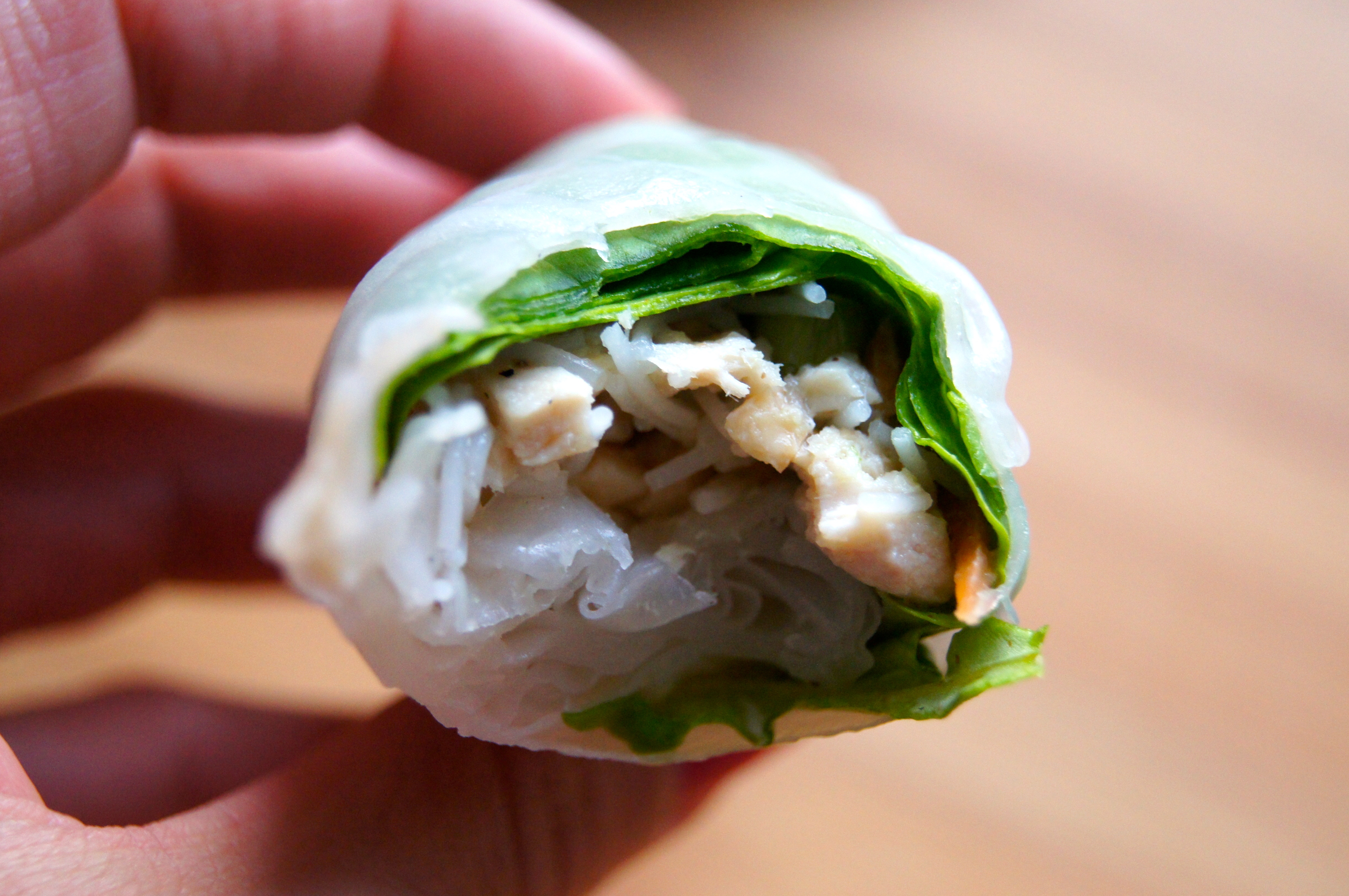 Asian Chicken Salad Spring Rolls